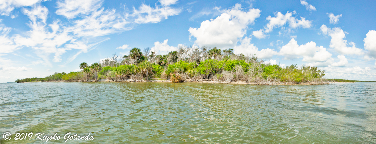 Research – Stuart Lab